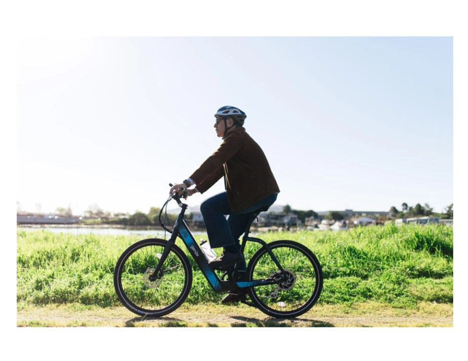 Genze E101 Sport Electric Bike 350 WATTS– Portable4Life