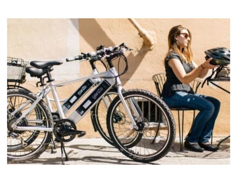 Genze E101 Sport Electric Bike 350 Watts– Portable4Life